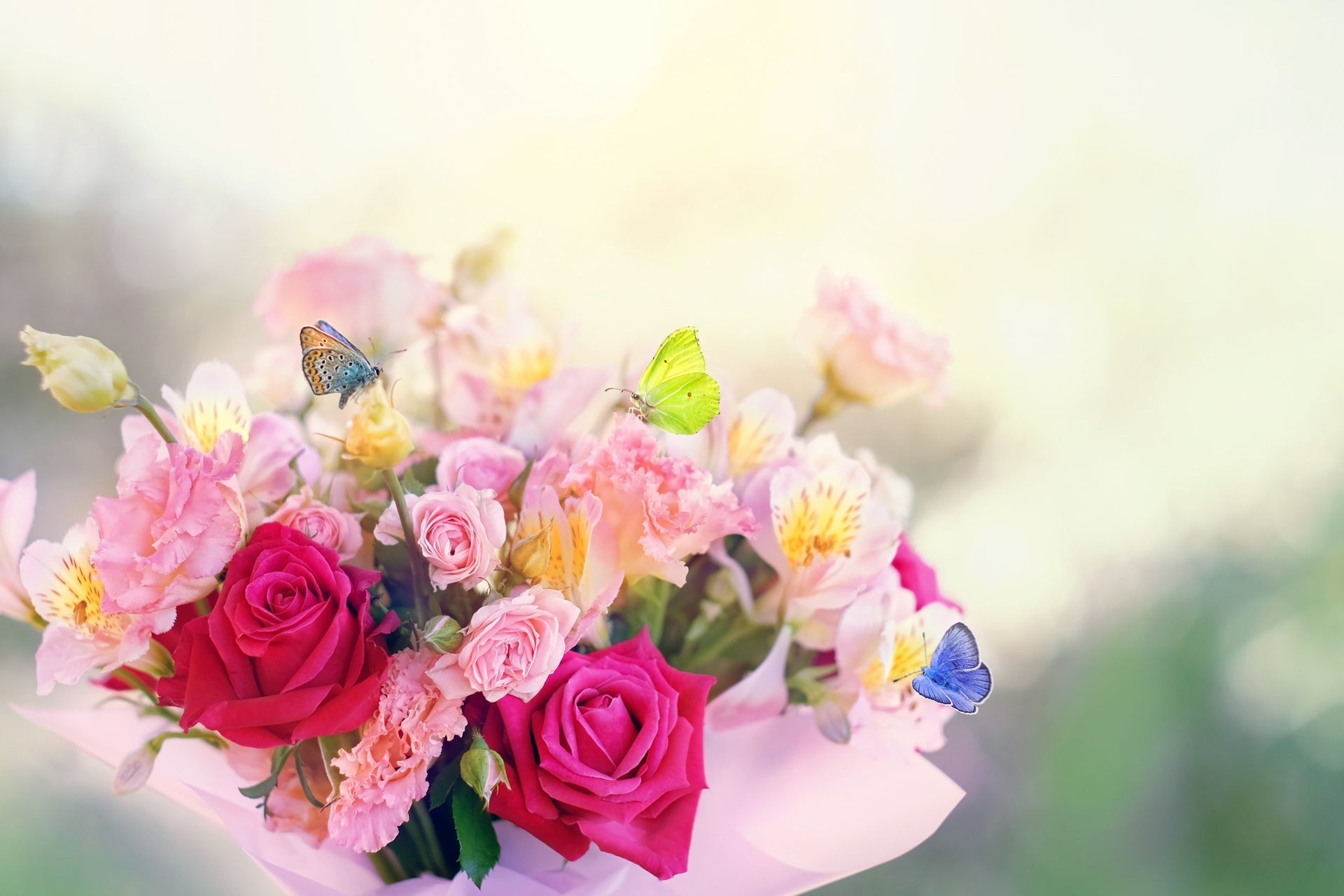 Spring flowers in Louisville, KY | Wildflowers – Local Flower Delivery